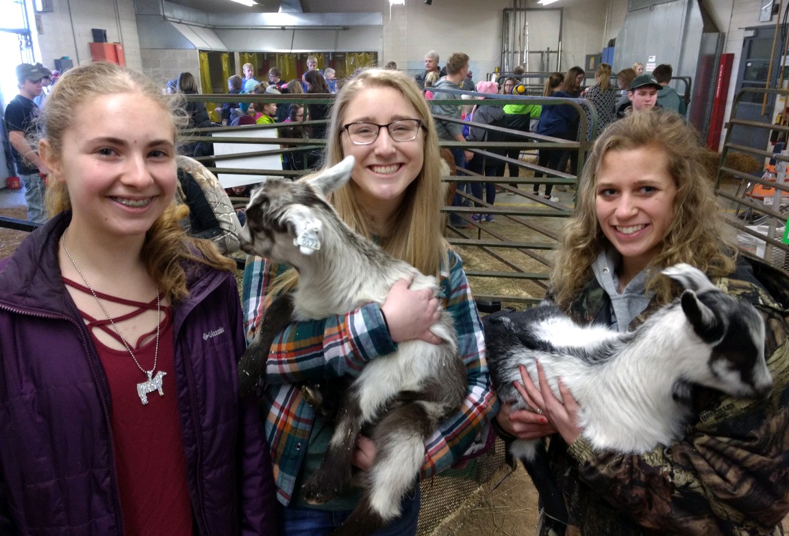 CANBY FFA PETTING ZOO DAY CHEYENNE, MAGEN AND GABBY | KLQP Podcasts